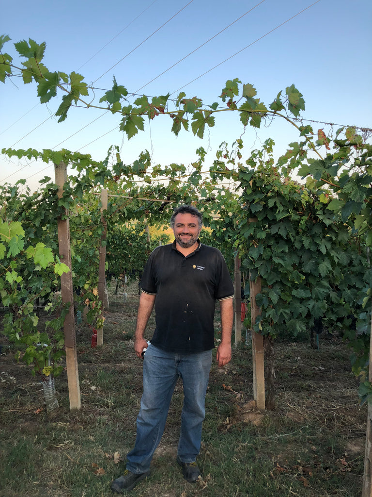 Cantine Elvio Tintero – Swig Wines